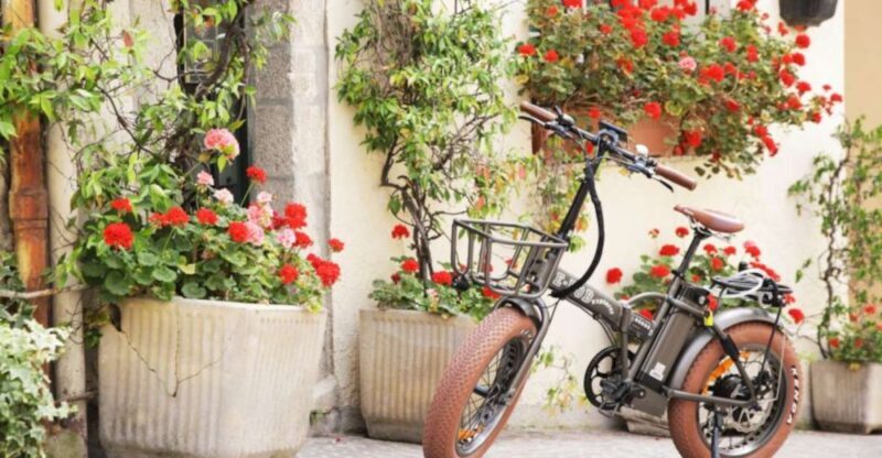 Cannes: rent an E-bike to visit the city - Authentic Experience and Unique Highlights