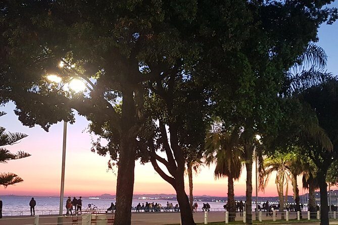 CANNES Shore Excursion: French Riviera Highlights with your Guide - Final Thoughts