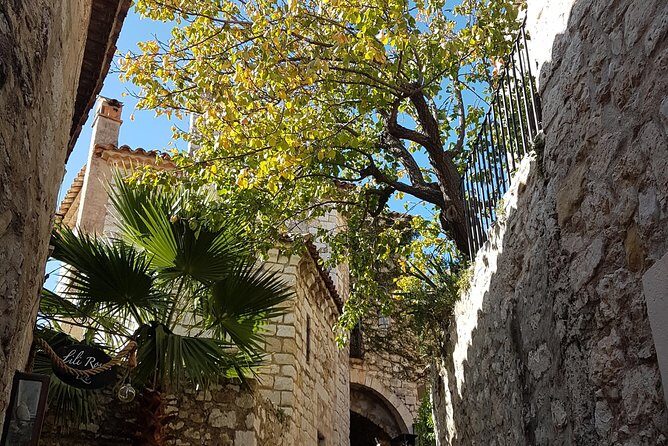 CANNES Shore Excursion: French Riviera Highlights with your Guide - Frequently Asked Questions