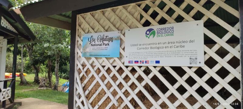 Cano Hondo Natural Pools & Los Haitises boat tour - Exploring the Cano Hondo Natural Pools & Los Haitises Boat Tour