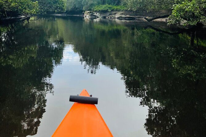 Canoe Hire - Who Will Love This?