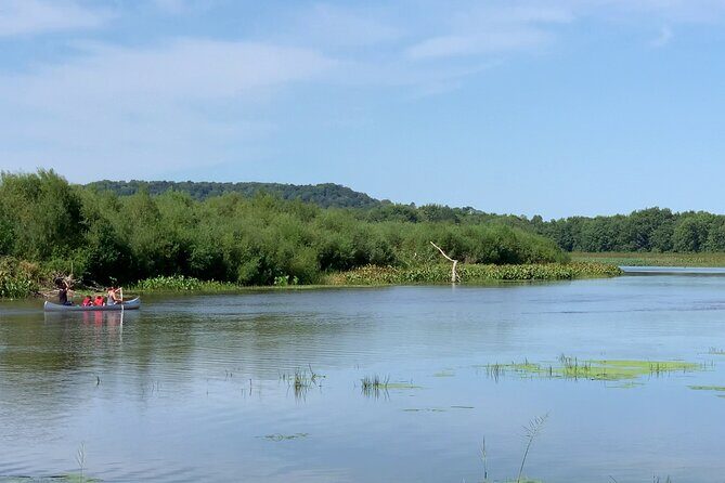 Canoe/Kayak Day Tour of Mississippi Wildlife & Fish Refuge - Discovering the Refuge: A Detailed Look
