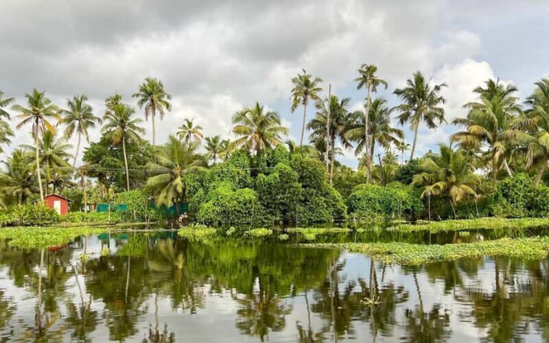 Canoe Ride through Mangroves in Kumbalangi From Cochin - FAQs