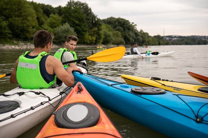 Canoe trip on Danube river with BBQ - In-Depth Look at the Itinerary