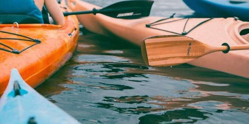 Canoeing in Port City - What Travelers Say: Authentic Perspectives