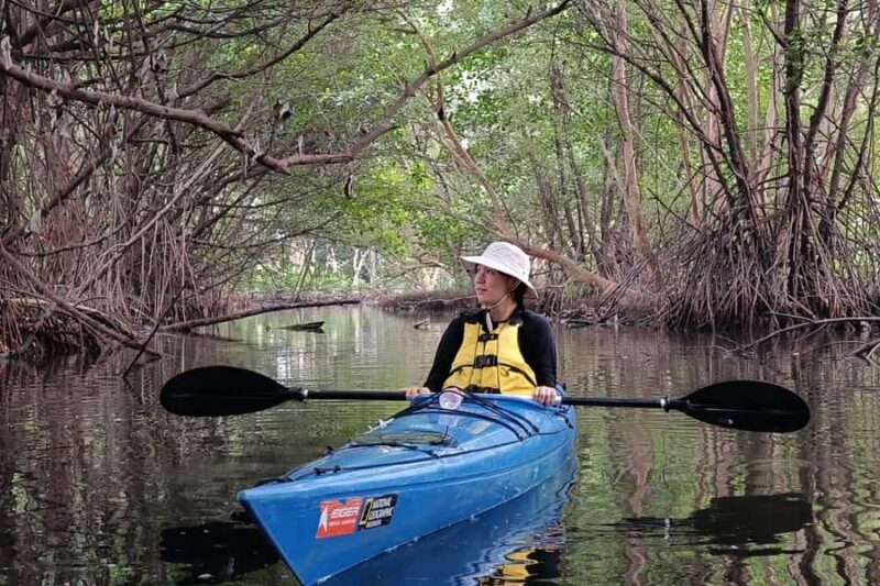 Canoeing Mangrove Experience in Jakarta - The Itinerary and What to Expect