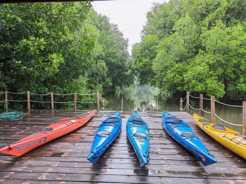 Canoeing Mangrove Experience in Jakarta - Who Should Consider This Tour?