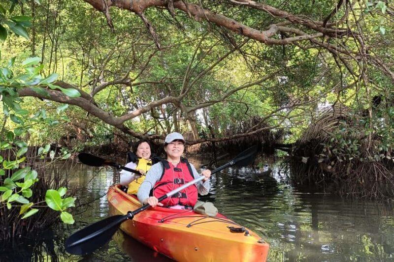 Canoeing Mangrove Experience in Jakarta - The Sum Up