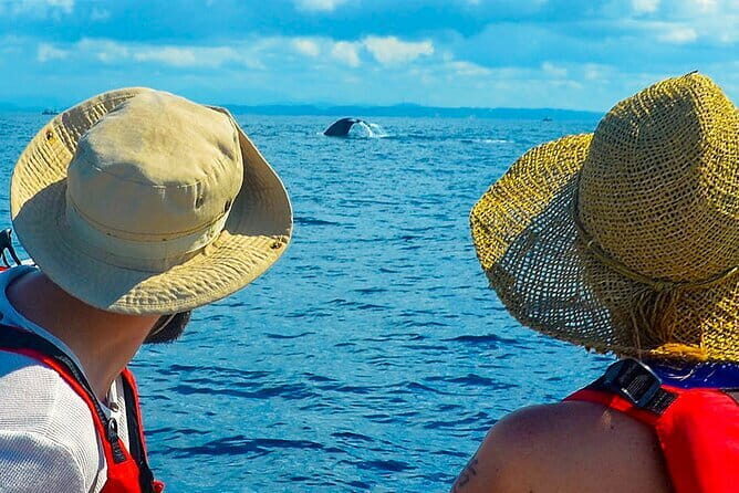 Canoeing Ride Hikkaduwa Beach - Analyzing the Value