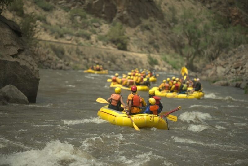 Cañon City: Bighorn Sheep Canyon Guided Rafting Adventure - Cost and Value