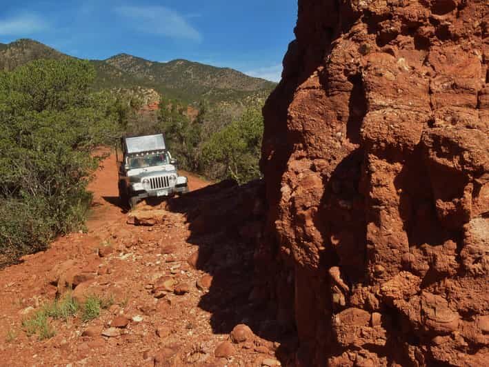 Cañon City: Colorado Jeep Tours - Red Canyon Half-Day Tour - Wildlife and Natural Encounters