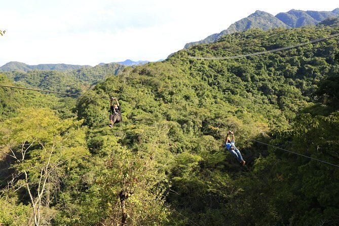 Canopy River Zipline Tour and Mule Ride - An In-Depth Look at the Canopy River Experience