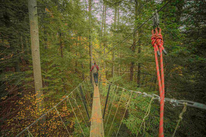 Canopy Tour at Haliburton Forest - Key Points