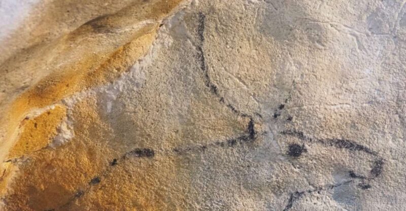Cantabria: El Castillo Caves & Paleolithic Art - Discovering Cantabria’s El Castillo Caves & Paleolithic Art