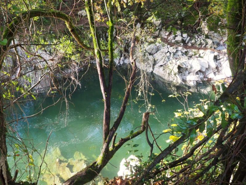 Cantabria: El Castillo Caves & Paleolithic Art - Authentic Experiences and Highlights