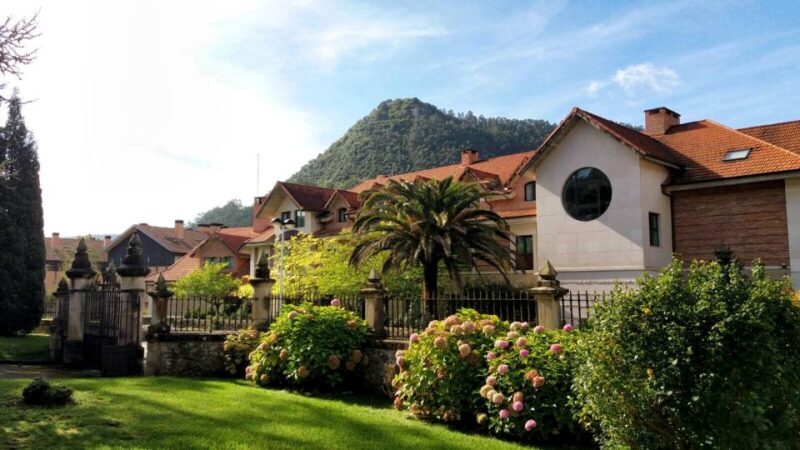 Cantabria: El Castillo Caves & Paleolithic Art - Final Thoughts: Who Should Book This Tour?
