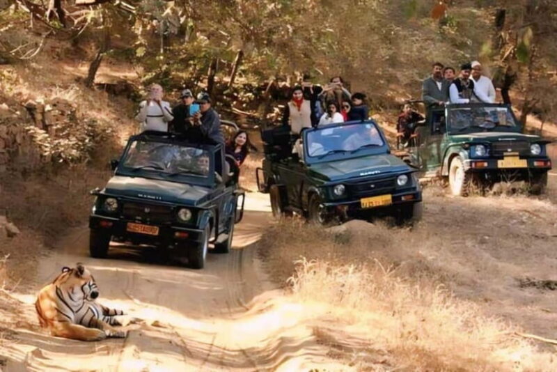Canter Safari: Skip-the-line Entry Ranthambore Tiger Reserve - The Landscape, Wildlife, and Photographic Opportunities