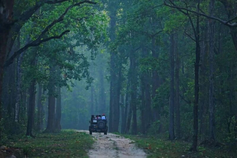 Canter Safari: Skip-the-line Entry Ranthambore Tiger Reserve - FAQ