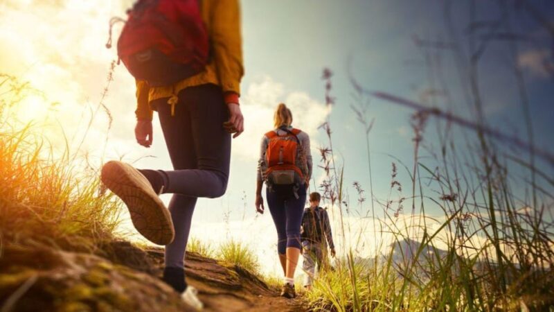 Canyamel: TimeForTwo, fun game,quiz and walk in nature - Authentic Traveler Feedback & Insights