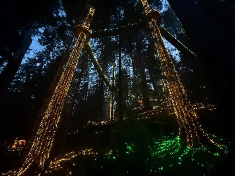 CANYON LIGHTS+Capilano Suspension Bridge/Small Group/CAR - Key Points