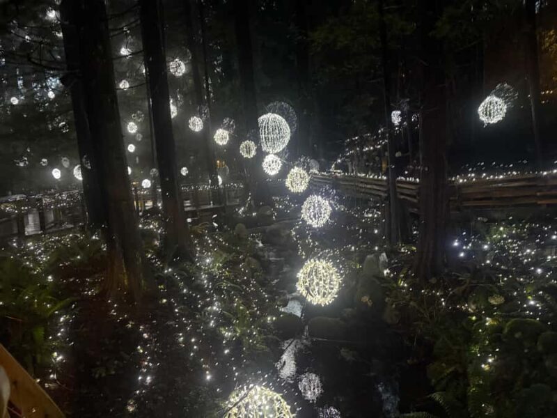 CANYON LIGHTS+Capilano Suspension Bridge/Small Group/CAR - The Real Value of This Tour