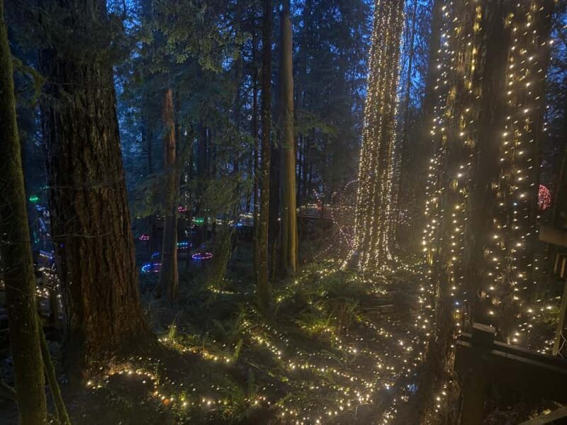 CANYON LIGHTS+Capilano Suspension Bridge/Small Group/CAR - Who Will Love This Tour?