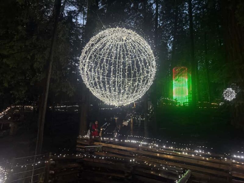 CANYON LIGHTS+Capilano Suspension Bridge/Small Group/CAR - FAQs