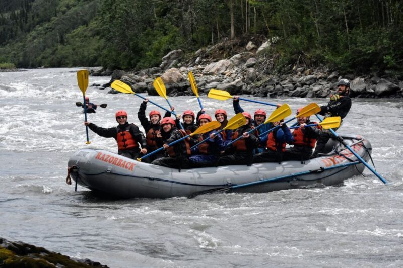 Canyon Run: Denali National Park Class IV Whitewater Rafting - Introduction