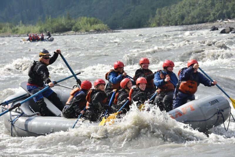 Canyon Run: Denali National Park Class IV Whitewater Rafting - What to Expect from the Trip