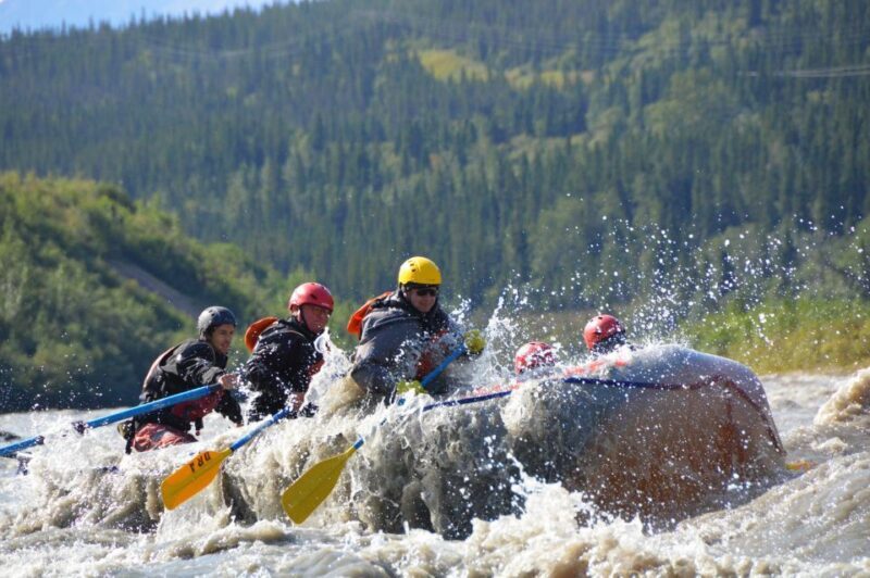 Canyon Run: Denali National Park Class IV Whitewater Rafting - The Value and Pricing