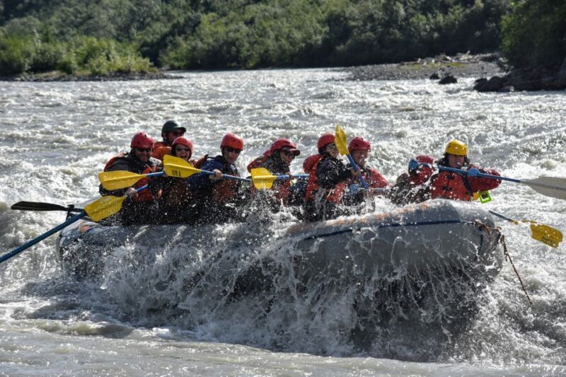 Canyon Run: Denali National Park Class IV Whitewater Rafting - Who Should Consider This Tour