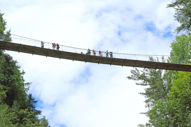 Canyon Sainte-Anne: Park Admission Ticket - Insights from Visitors