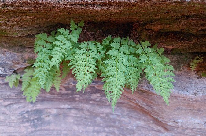 Canyoneering Kanab Area, Private - Detailed Itinerary Breakdown