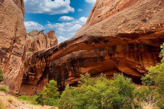 Canyoneering Morning Glory Arch - Authentic Insights from Past Travelers
