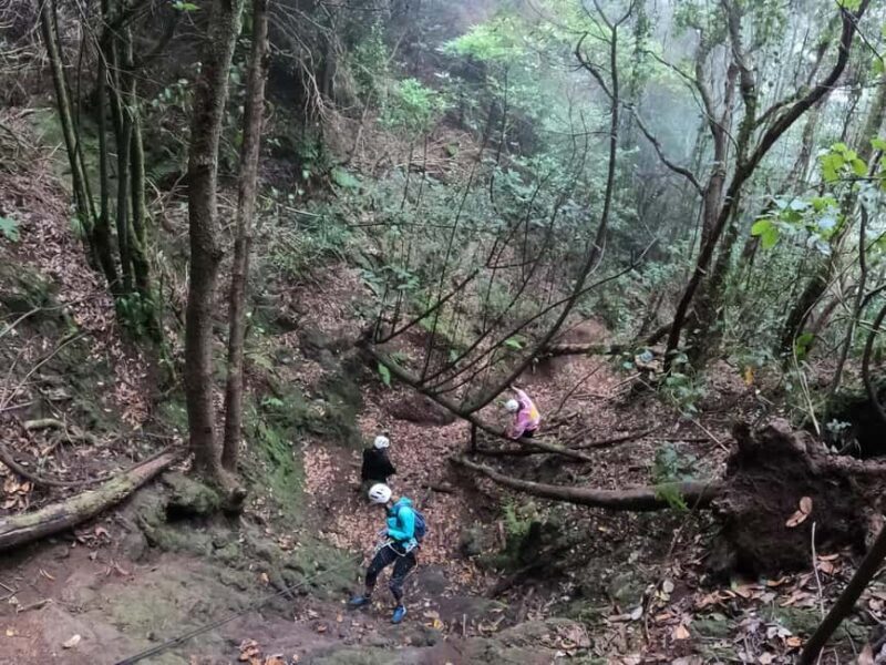 Canyoning in Anaga - Who Is This Tour Best For?