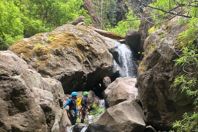 Canyoning Madeira Island Level 2 - Who Will Love This Experience?