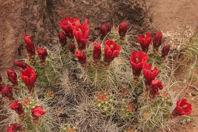 Canyonlands National Park Needles District by 4x4 - FAQ