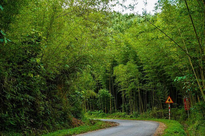 Cao Bang Loop 3 Days Easy Rider with The Loop Tours - Who Should Consider This Tour?