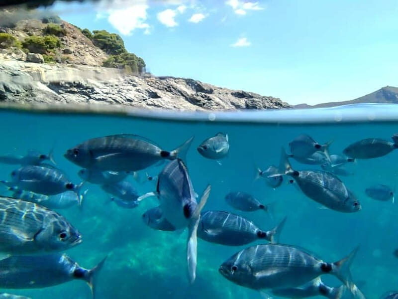 Cap De Creus: Explore and live an Aquatic World - The Cave of Hell and Cap de Creus — The Final Highlights