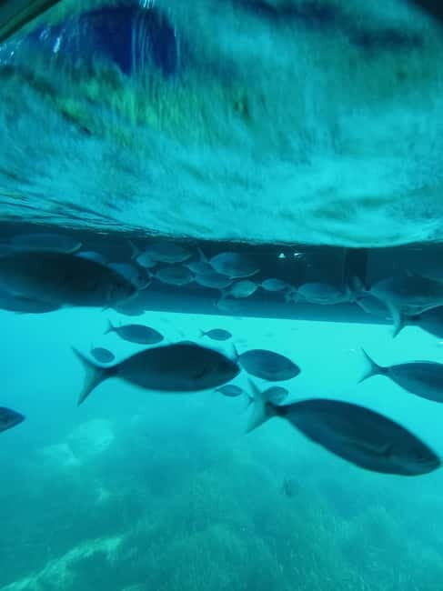 Cap De Creus: Explore and live an Aquatic World - Who Will Love This Experience?