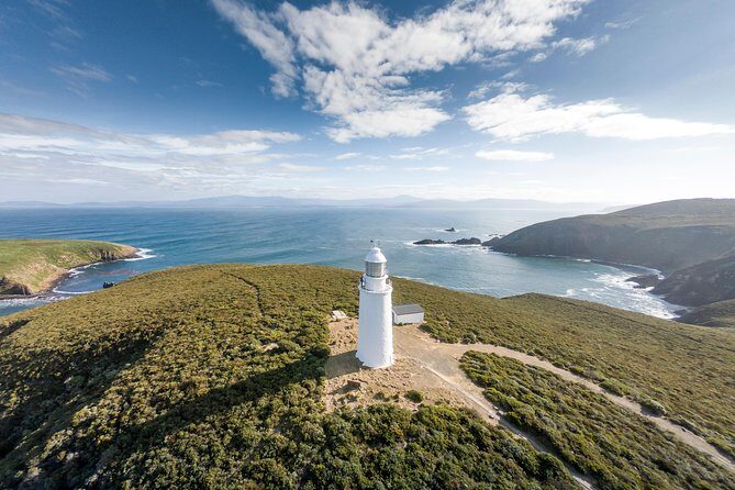Cape Bruny Lighthouse Tour - Bruny Island - A Closer Look at the Tour Experience