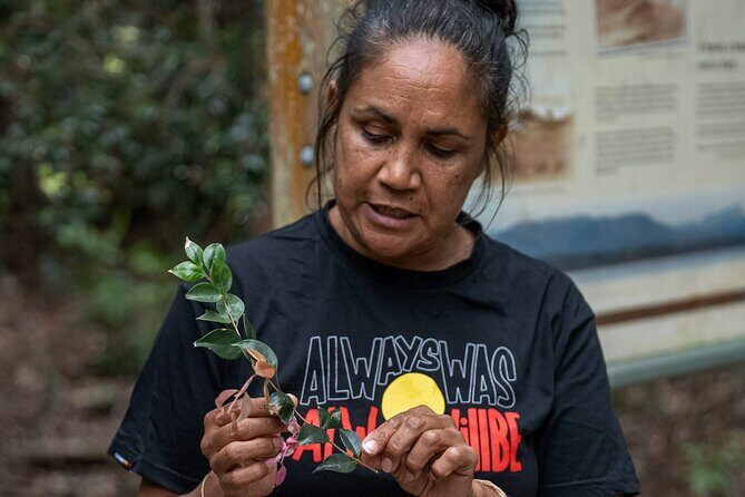 Cape Byron Aboriginal Tour - Who Should Consider This Tour?