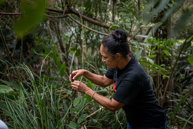 Cape Byron Aboriginal Tour - The Sum Up: Worth the Investment for Genuine Cultural Connection