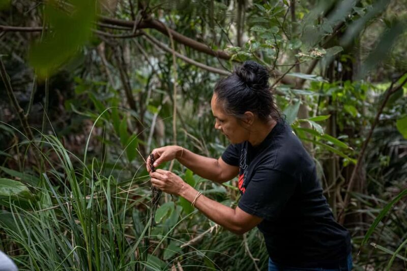 Cape Byron Aboriginal Tour - Who Will Love This Tour?