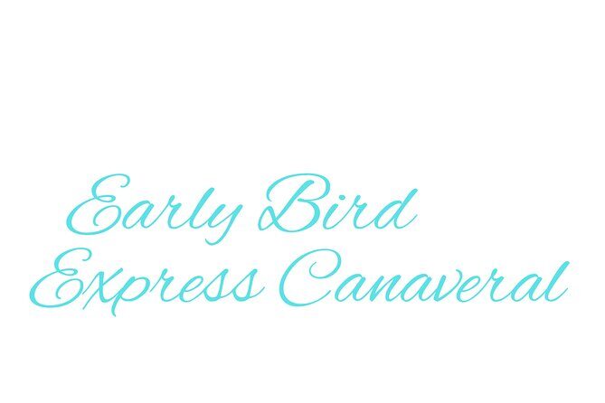 Cape Canaveral Private Transfer to MCO Orlando Airport - What To Expect on Your Journey