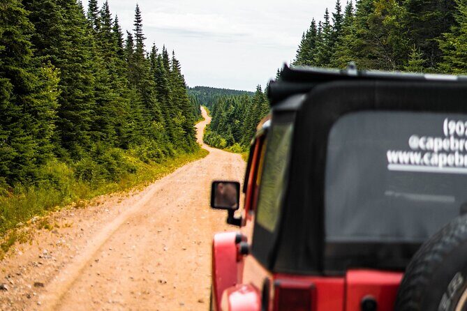 Cape Clear Look-off Express - Private Jeep Tour - Transportation & Comfort