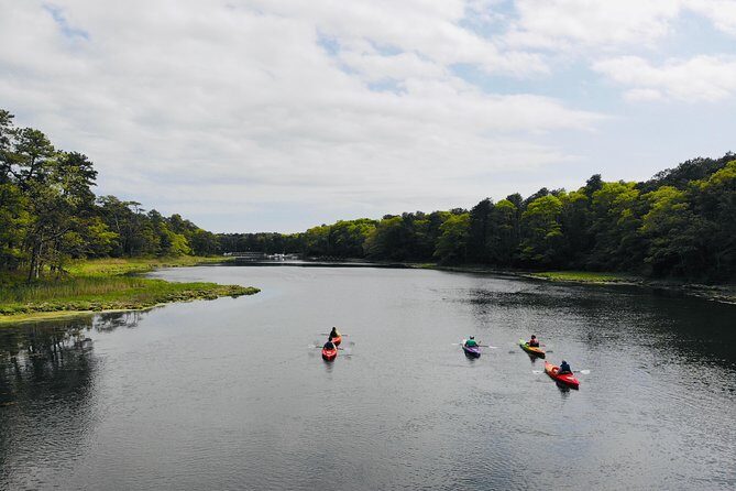 Cape Cod Explorer Tour - Introduction: Discover Cape Cod from the Water