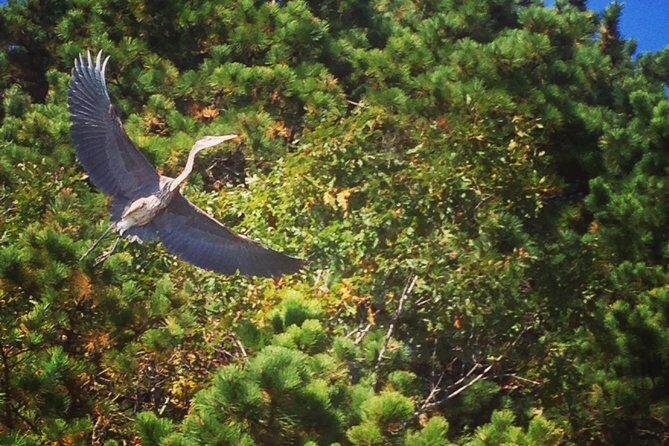 Cape Cod Explorer Tour - Why We Think This Tour Is Worth Considering
