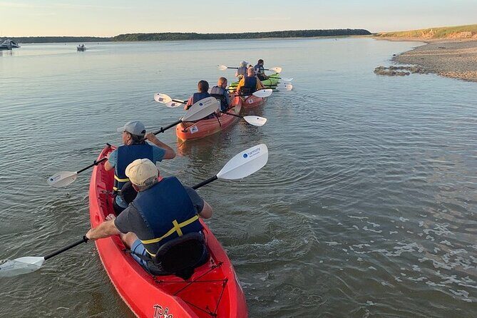 Cape Cod Kayak Rentals in Popponesset Bay Mashpee - A Close Look at the Experience