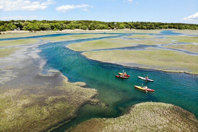 Cape Cod Kayak Rentals in the Great Marsh - The Trip Itself: What to Expect